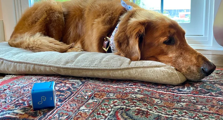 Pet Tunes | Species-Specific Music for Behavioral Balance — Pet Acoustics