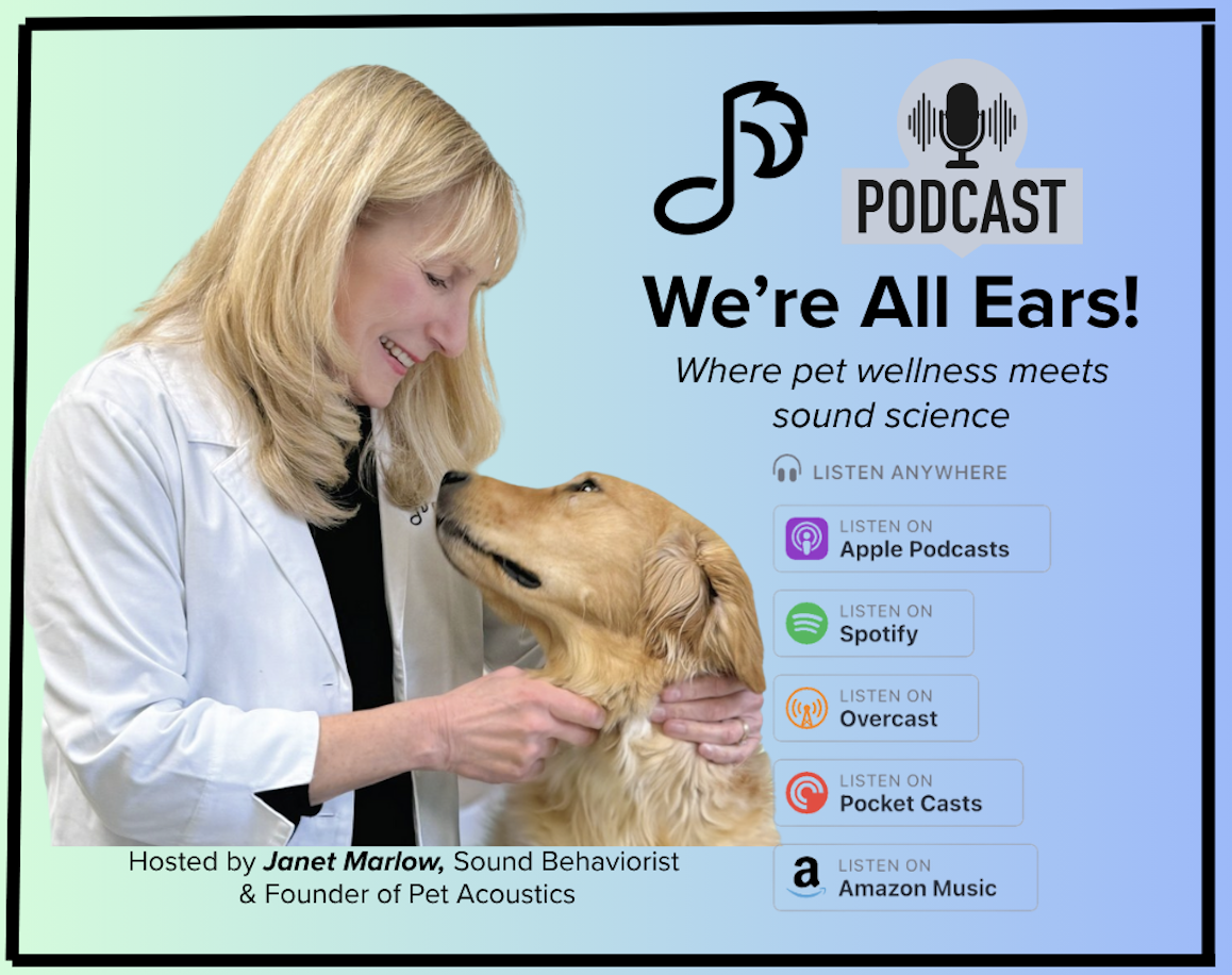 Pet Acoustics — What Pets Hear Matters