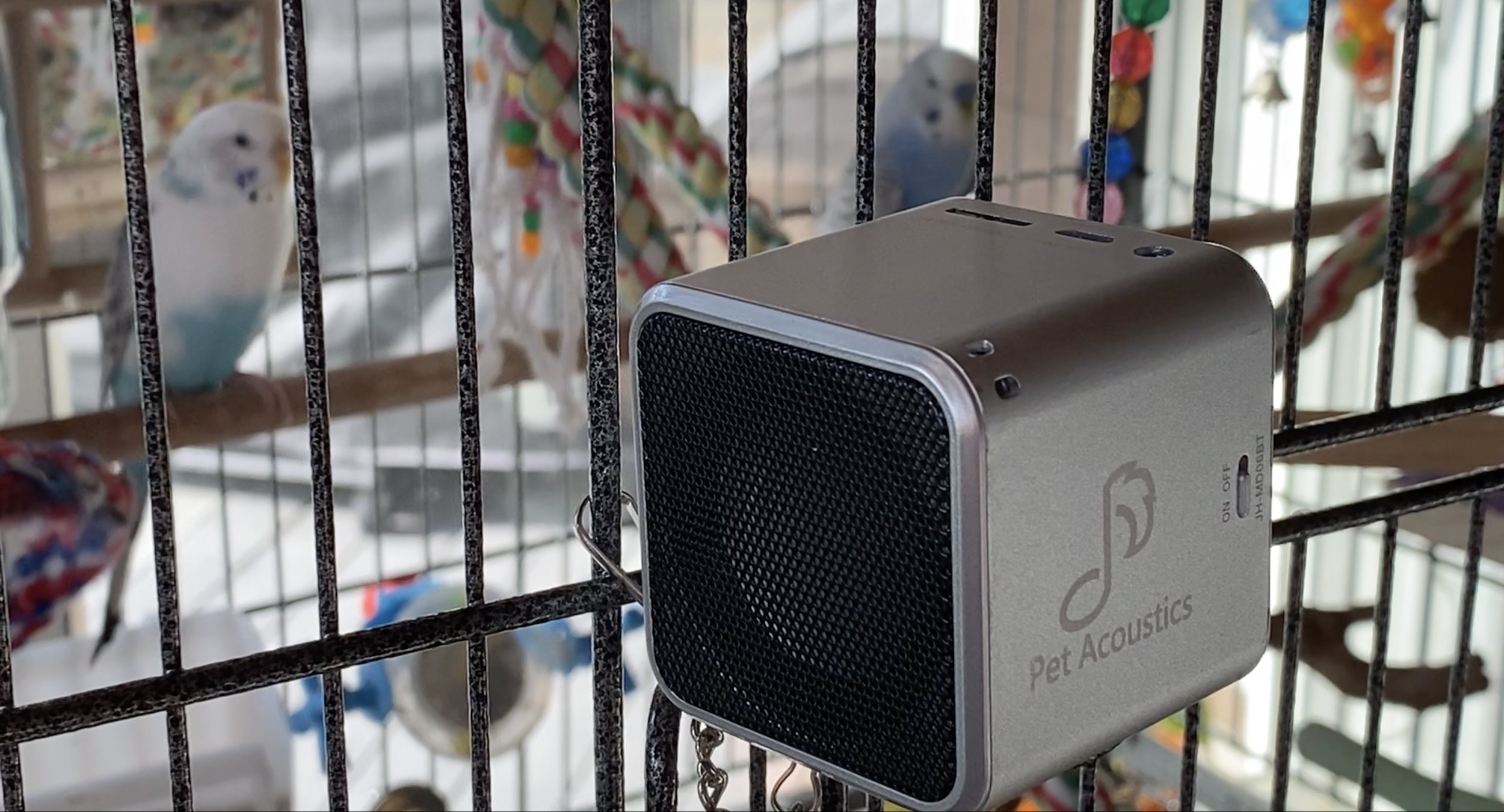 Pet Tunes | Species-Specific Music for Behavioral Balance — Pet Acoustics