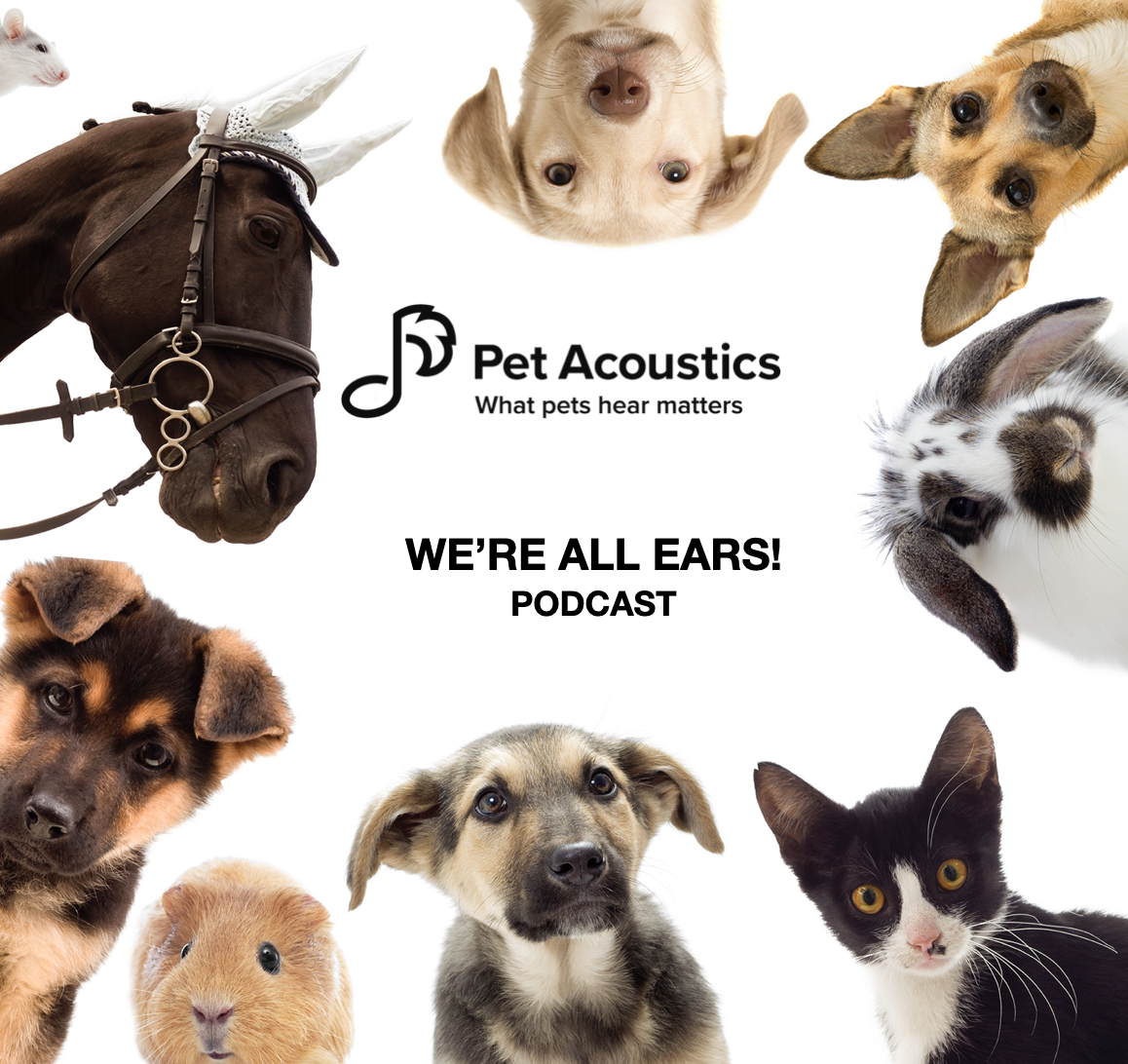 Cat Anxiety Podcast #5 — Pet Acoustics