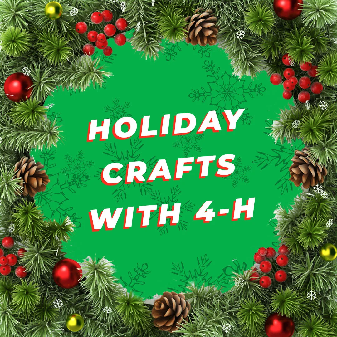 Events — Somerset County 4-H