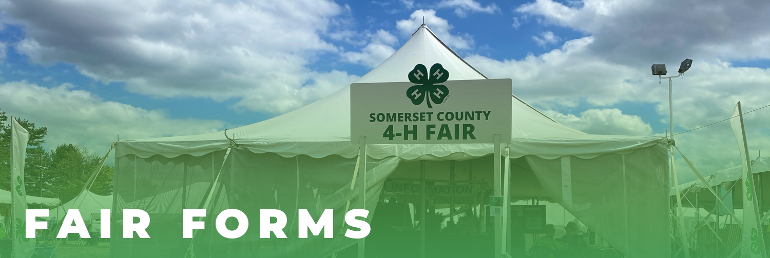 Somerset County 4 H Fair