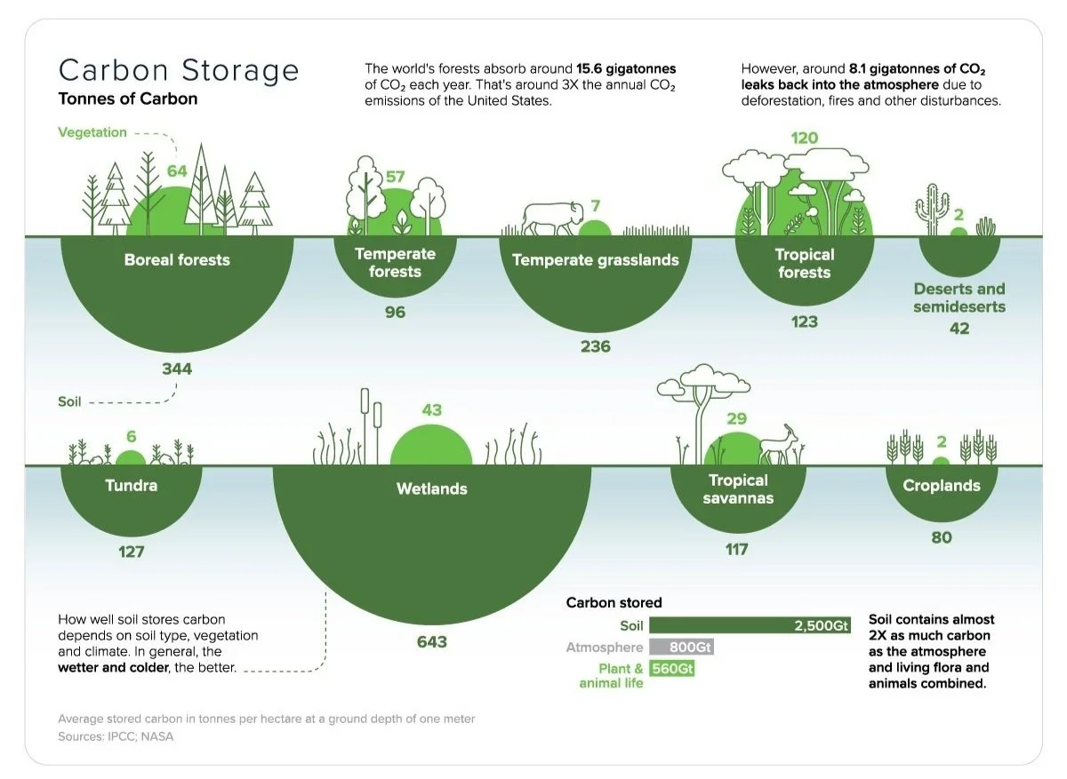 Community Based Natural Climate Solutions — Center for Sustainable ...