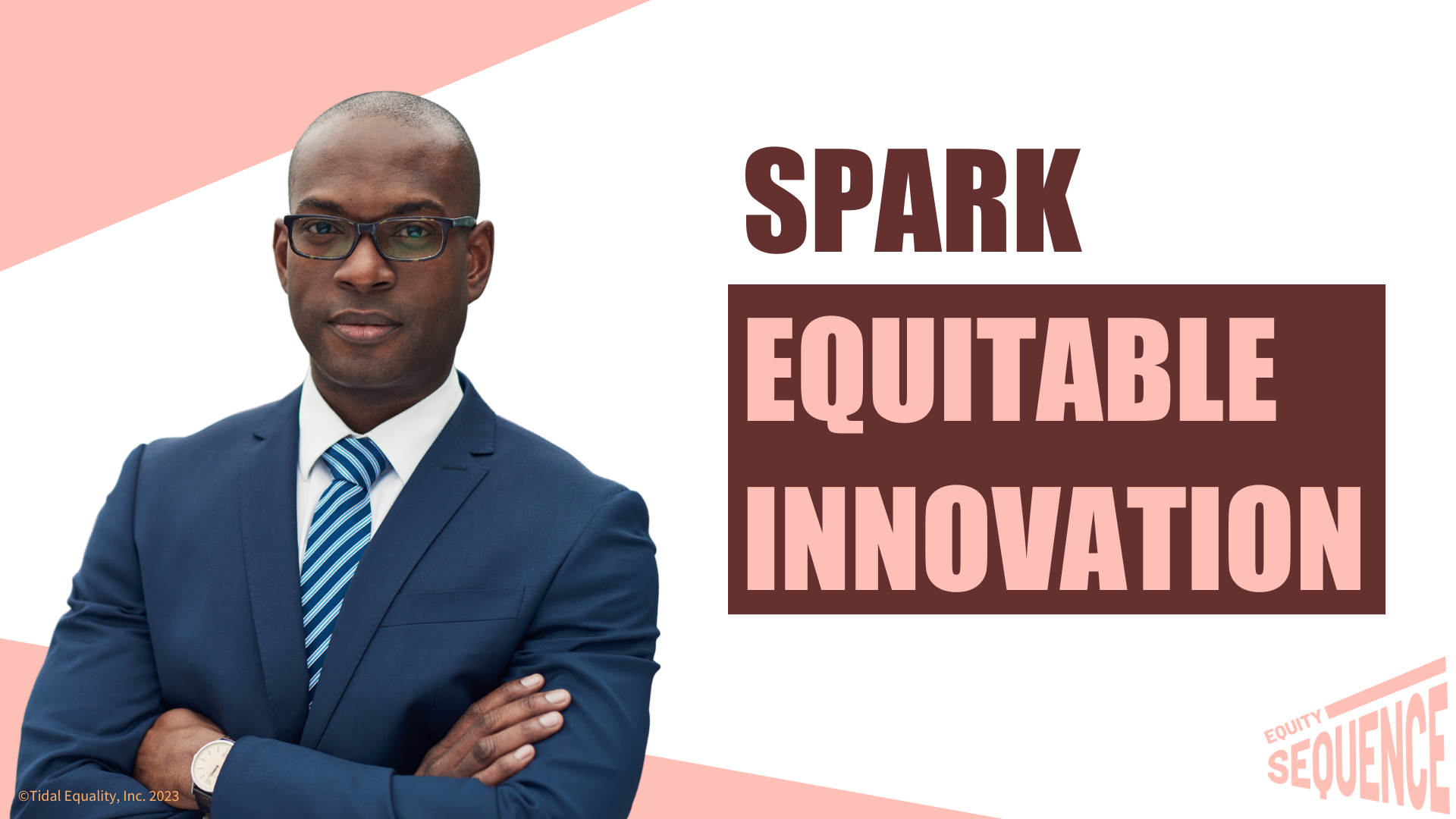 So Much More Than DEI Training | Tidal Equality