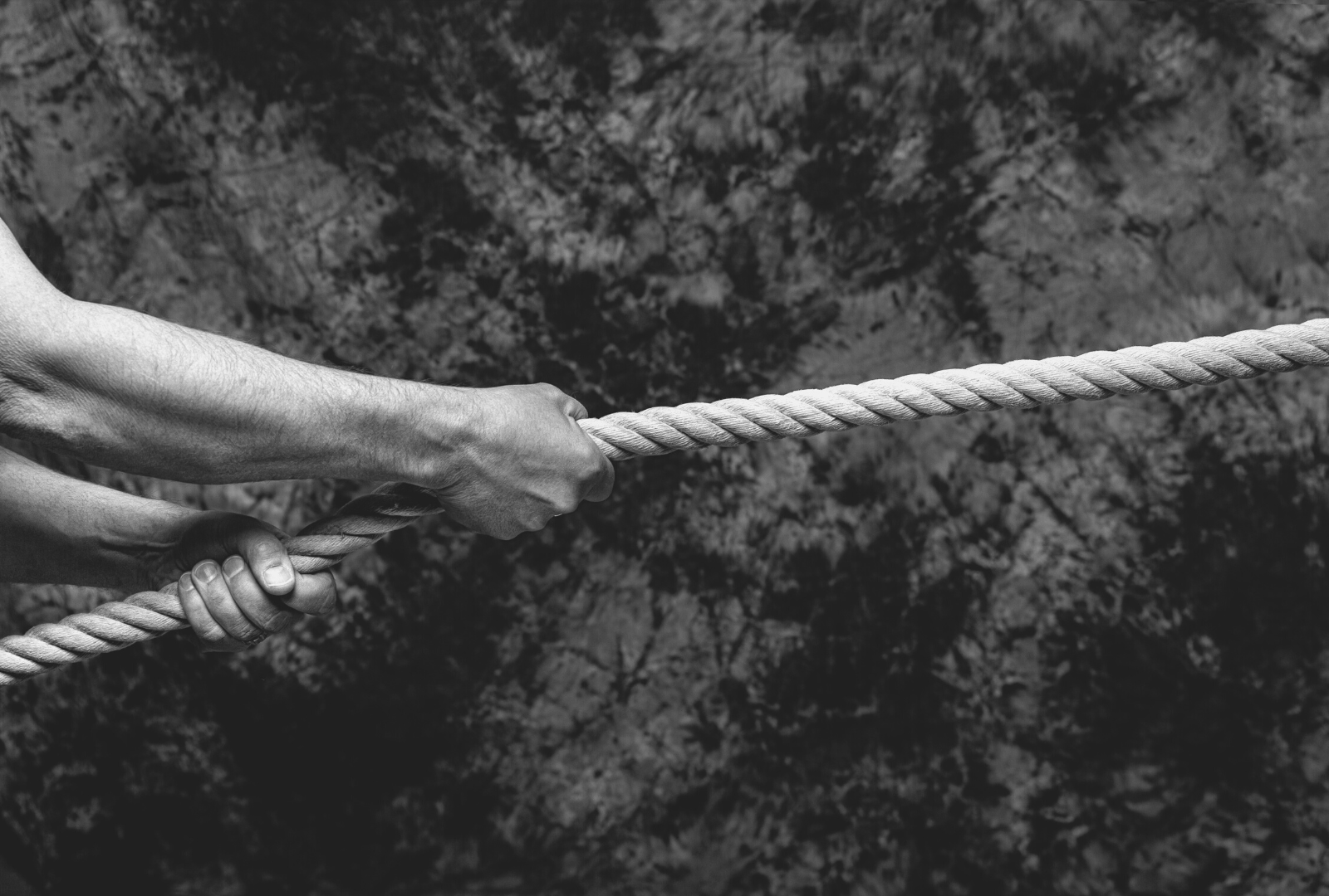 What is Wokeism? the tug-of-war over the term | Tidal Equality