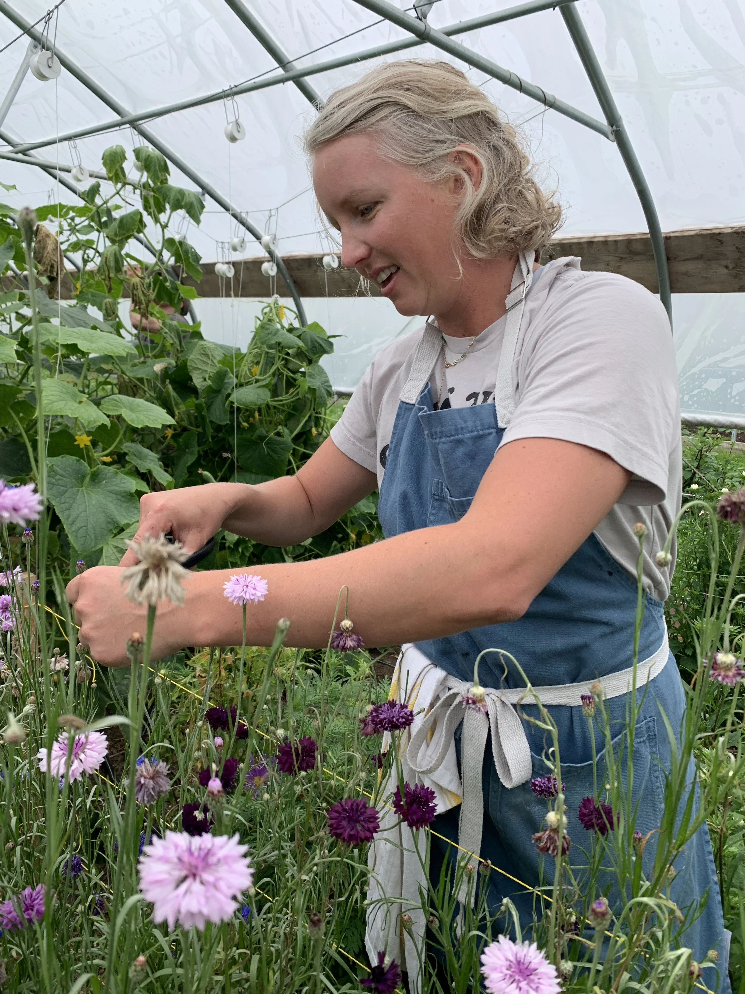 Dinner Tickets — Roberts Harbor Farm