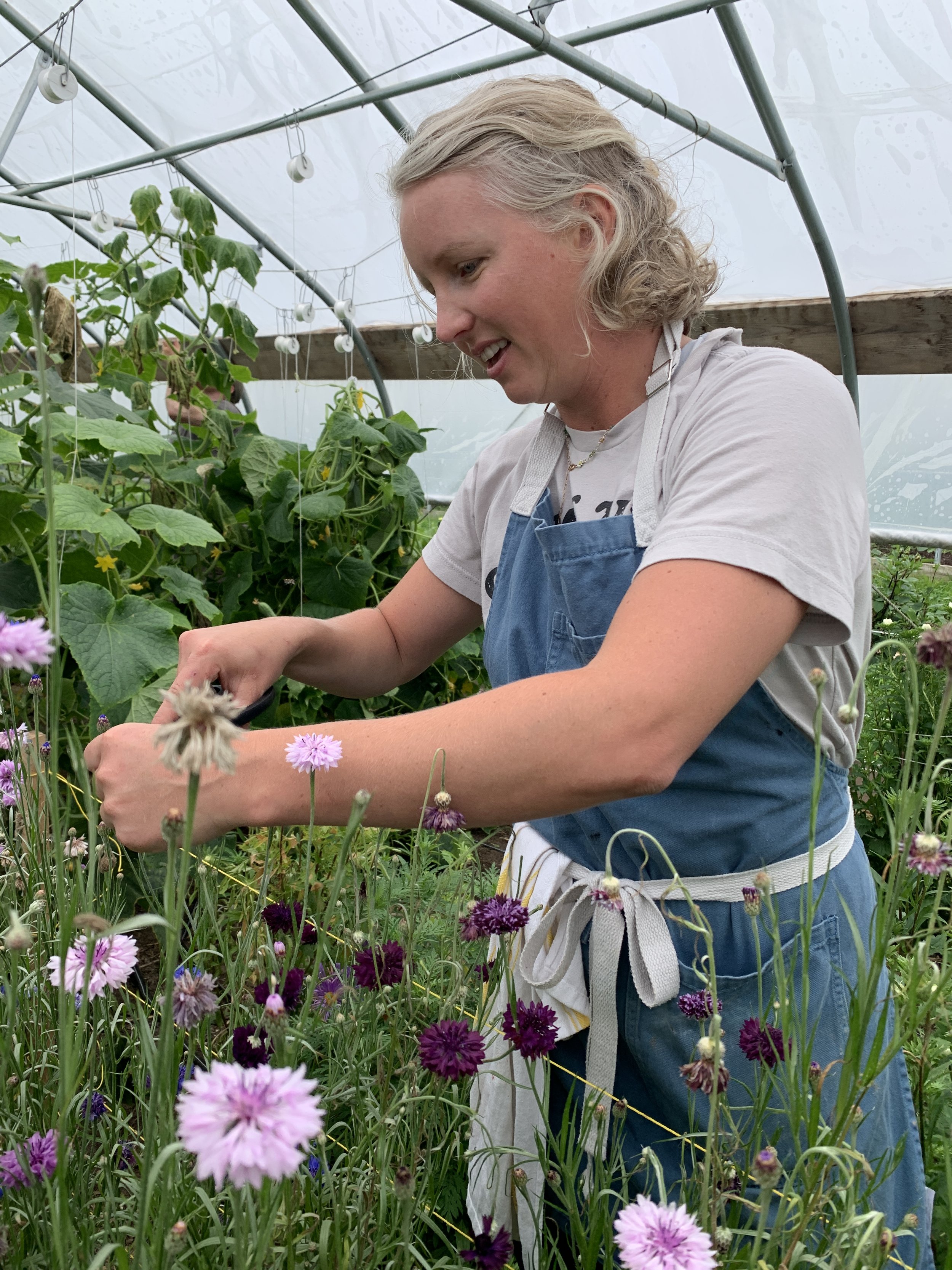 Dinner Tickets — Roberts Harbor Farm