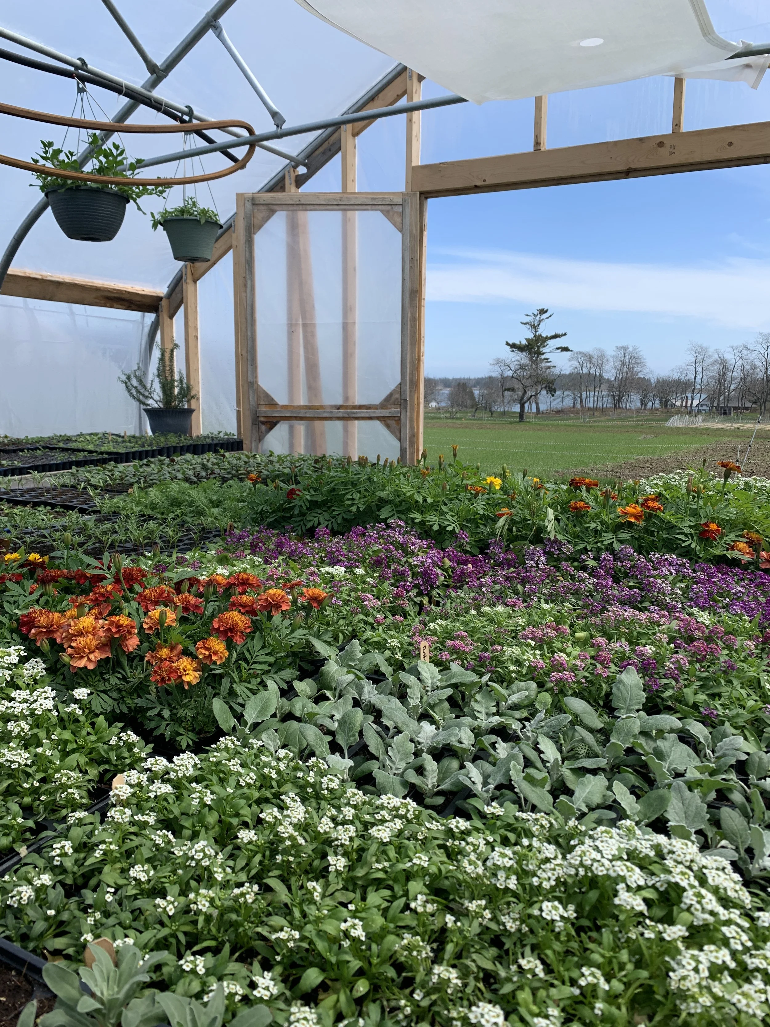 Employment — Roberts Harbor Farm