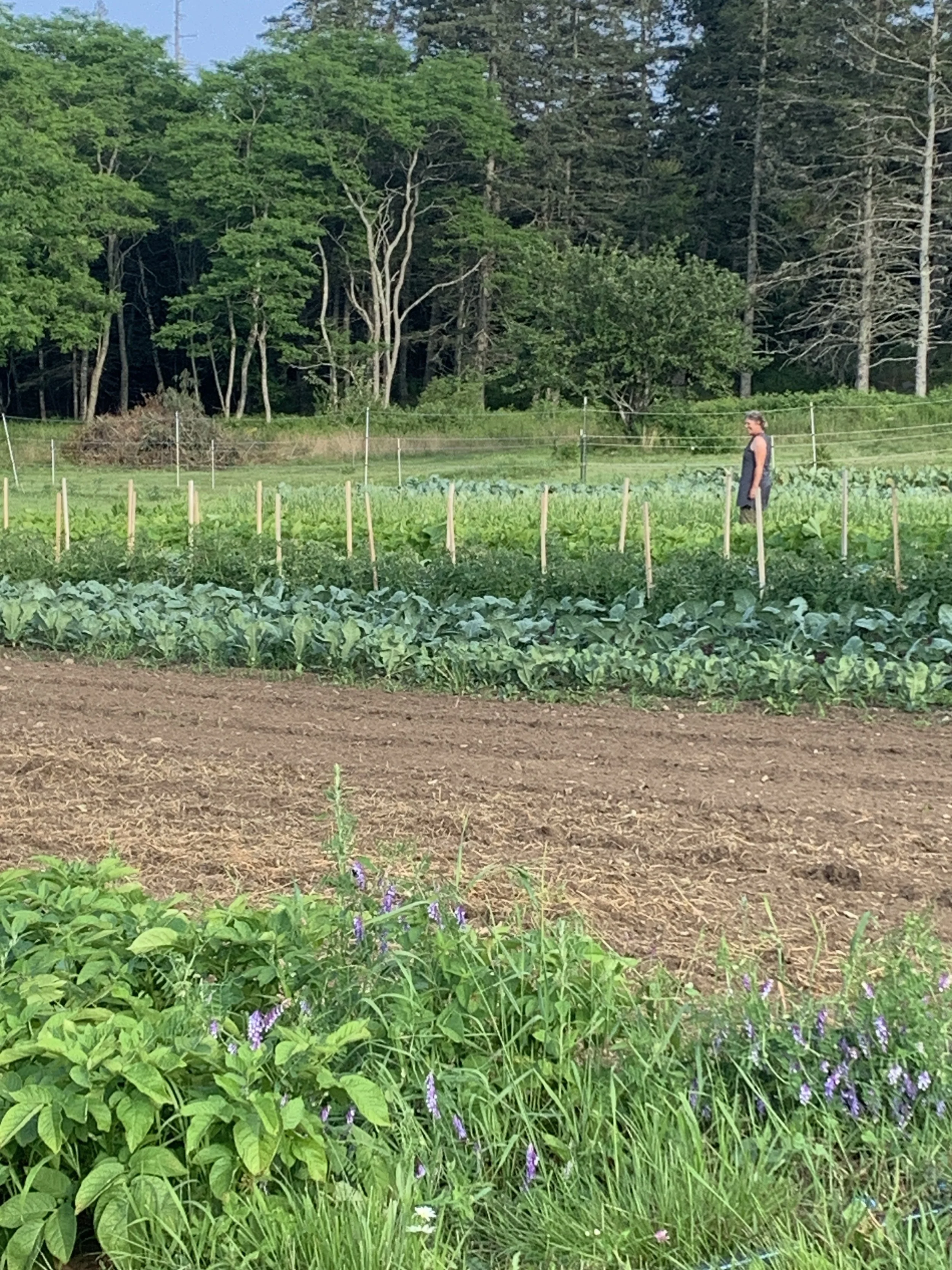 Employment — Roberts Harbor Farm