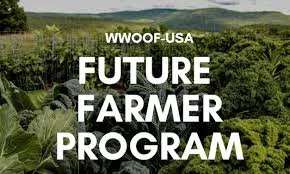WWOOF USA's Future Farmers Program Broadens Access for More Equitable ...