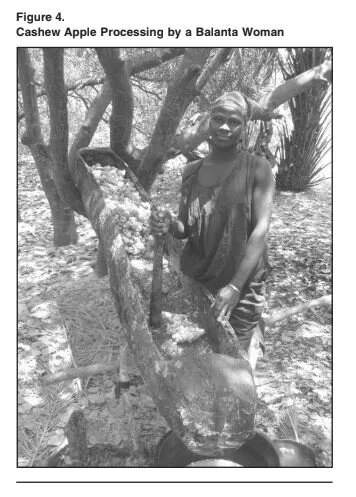 Amilcar Cabral Describes Balanta People