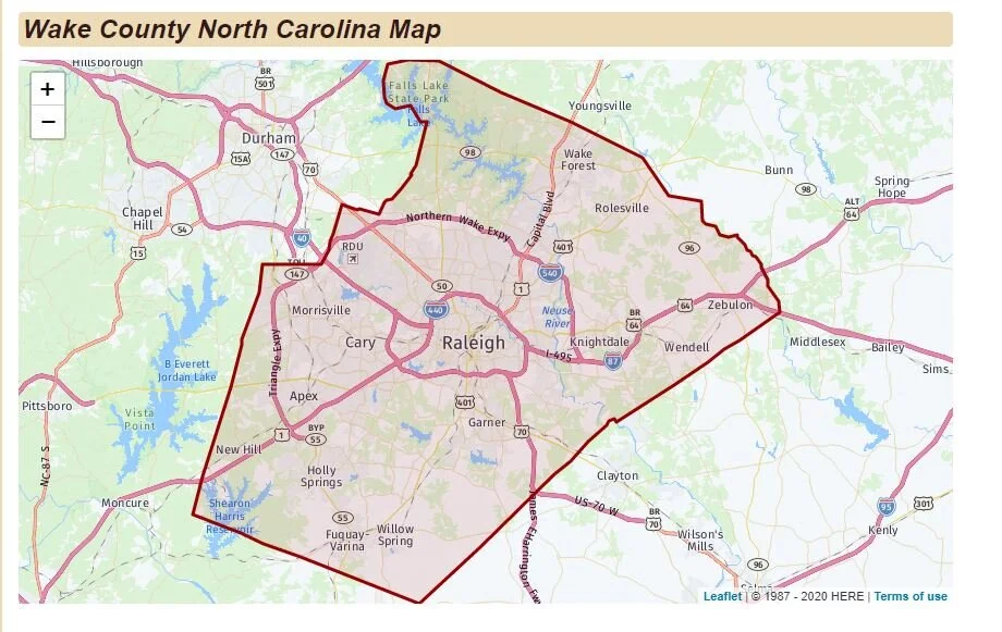 Case Study: The Baleka Family