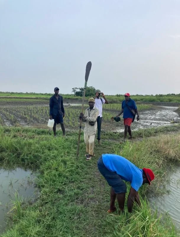 What Real Reparations Looks Like: A Visit to the Balanta Village in ...