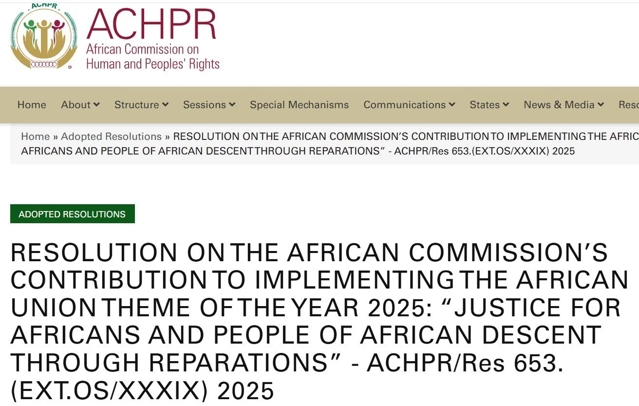 AFRICAN COMMISSION ON HUMAN AND PEOPLES' RIGHTS ADOPTS SIPHIWE BALEKA'S ...