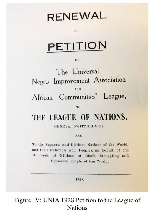 The African American Case for Independence at the International Court ...