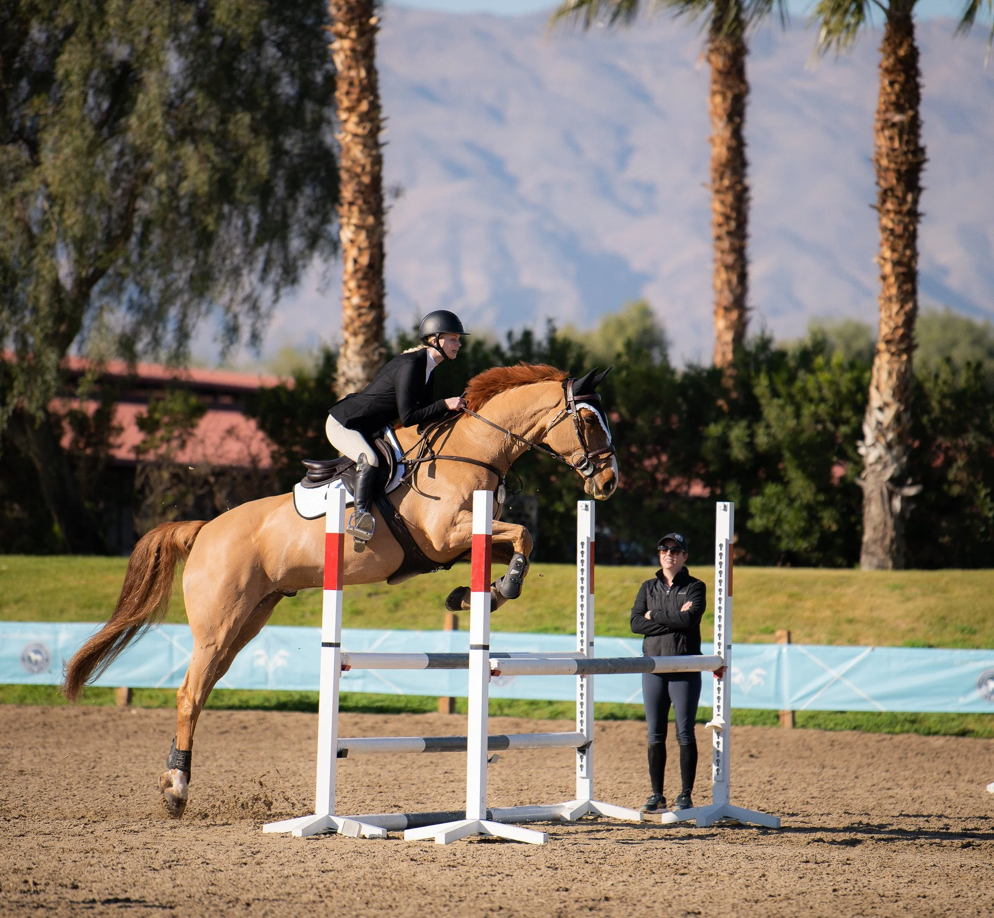 Contact Us — Spring Valley Stable