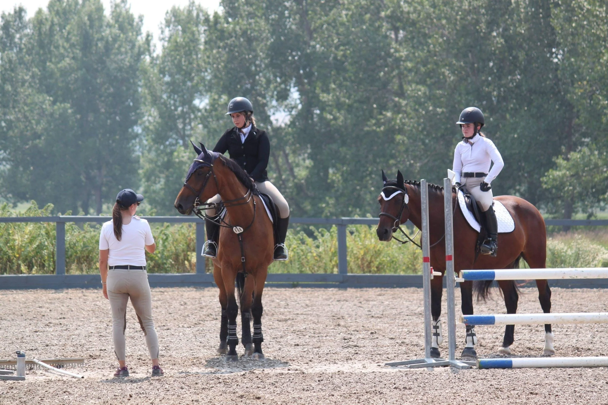 Lessons, Training & Baording — Spring Valley Stable