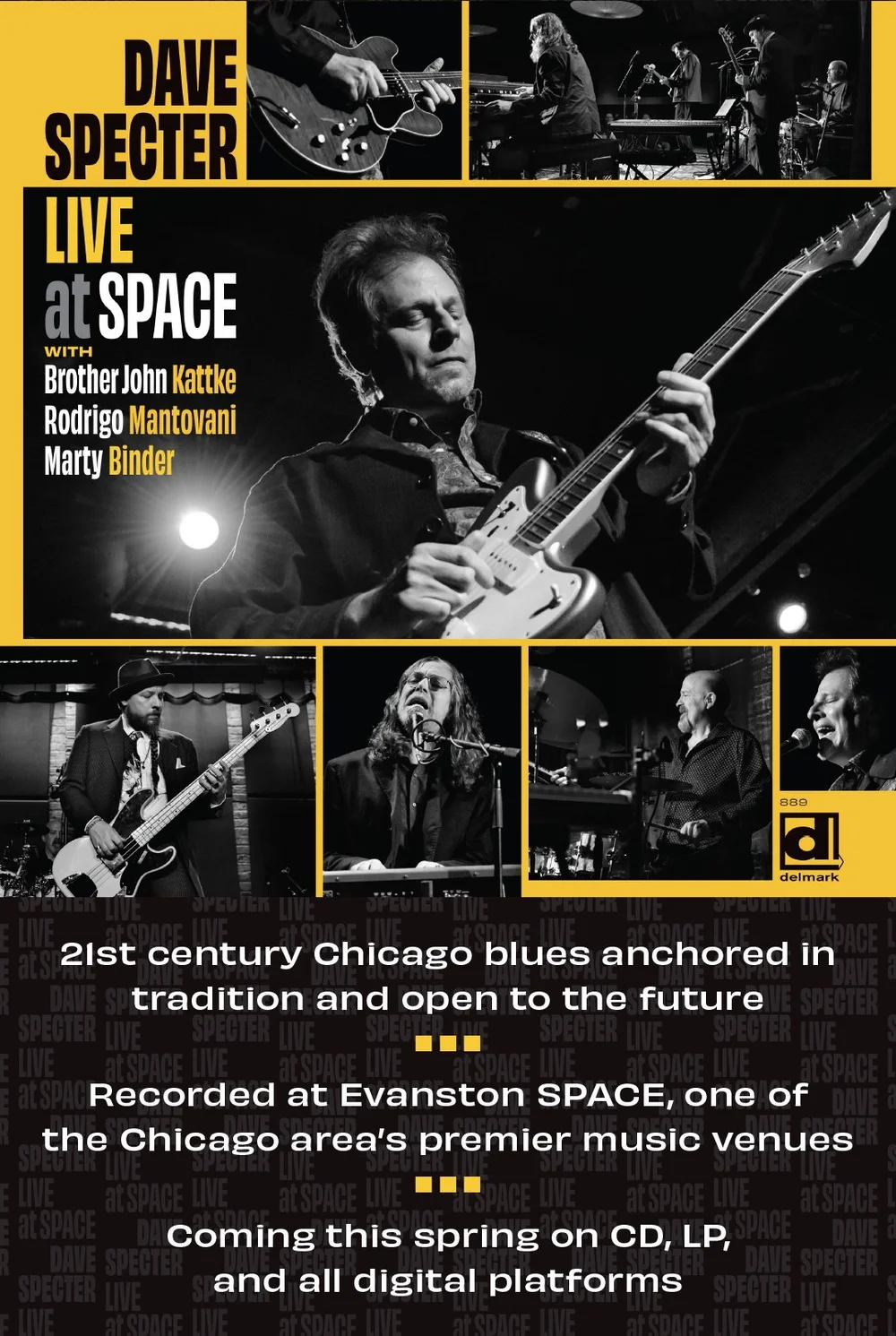 DISCOGRAPHY — Dave Specter