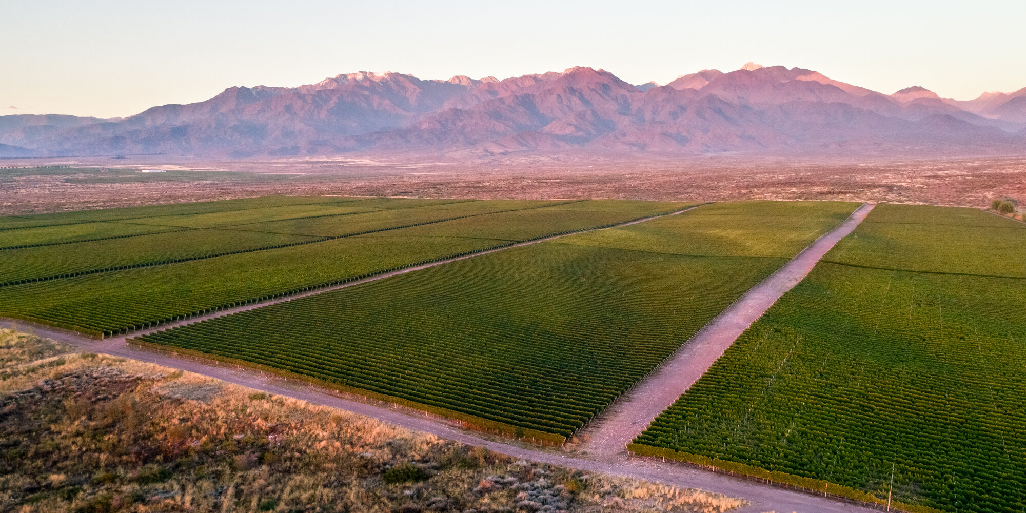 Viña Cobos — Paul Hobbs Selections