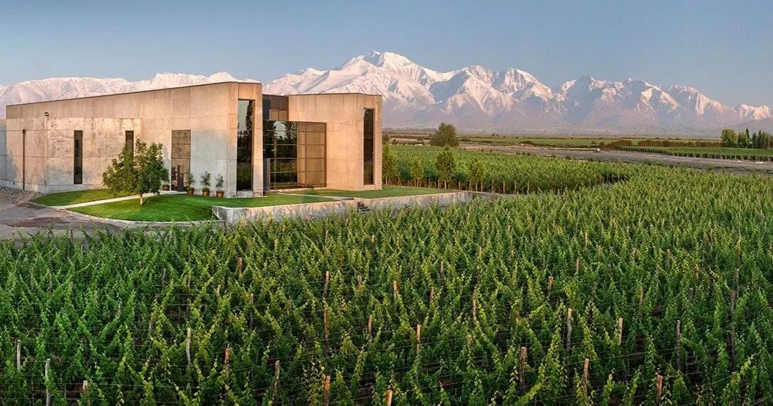 Viña Cobos — Paul Hobbs Selections