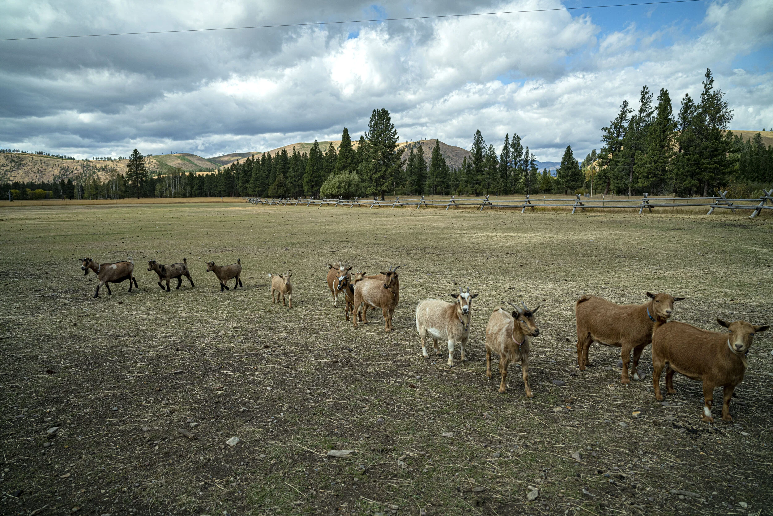 Photo Gallery — The Cliff Ranch