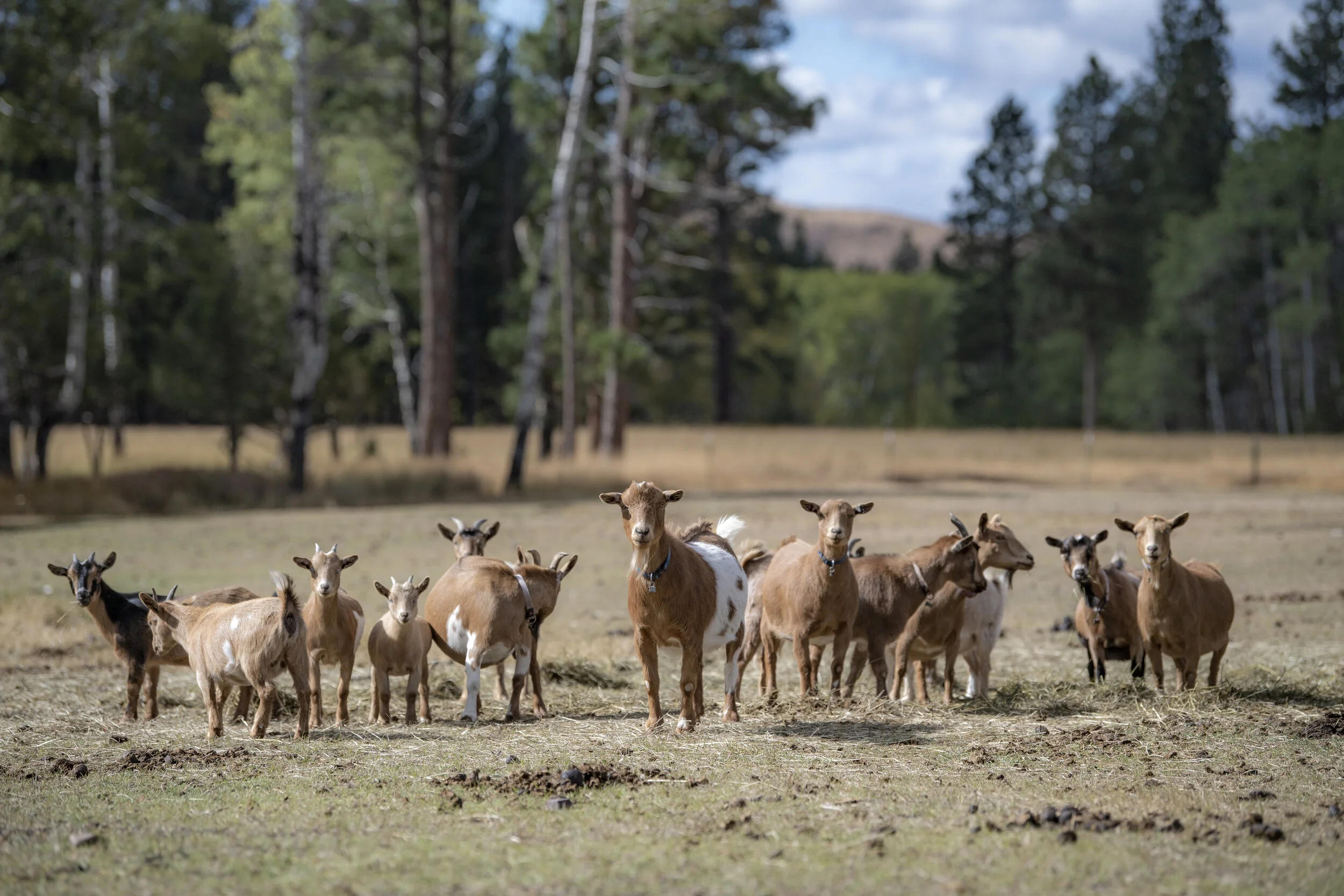 Photo Gallery — The Cliff Ranch