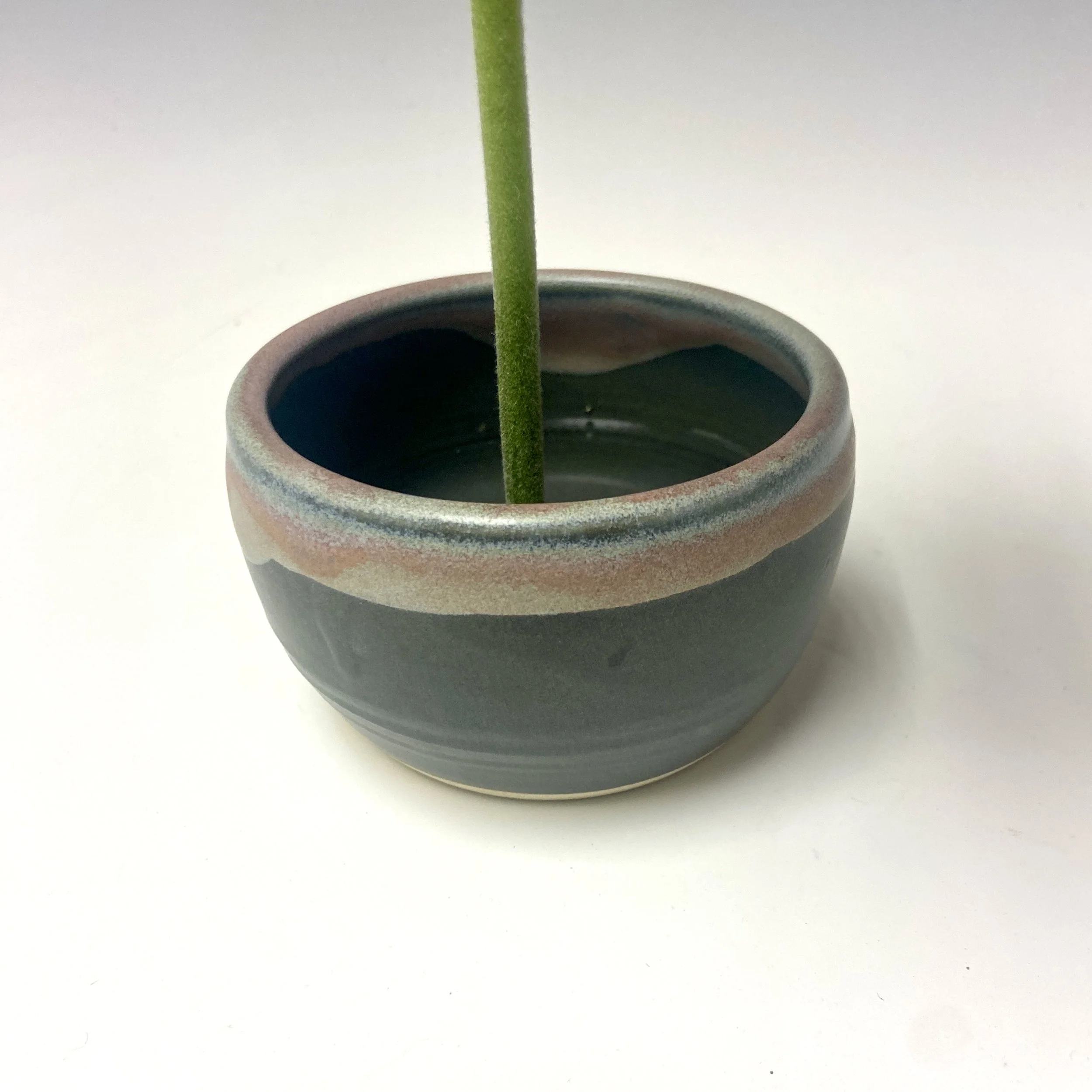 Cedar Tree Pottery