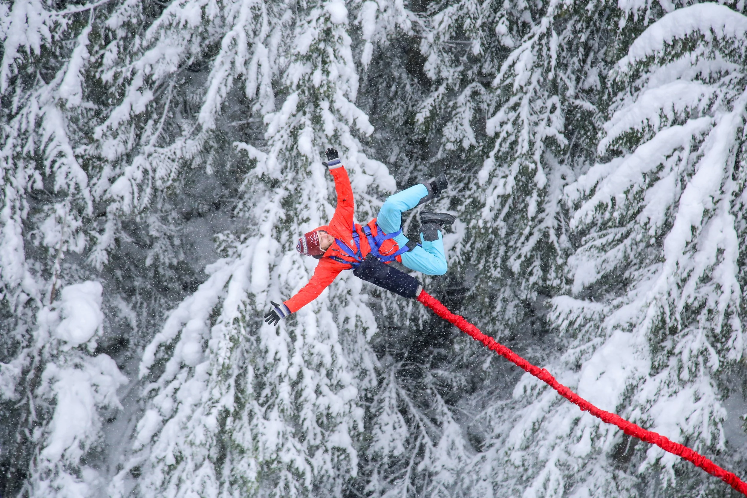 Whistler Bungee