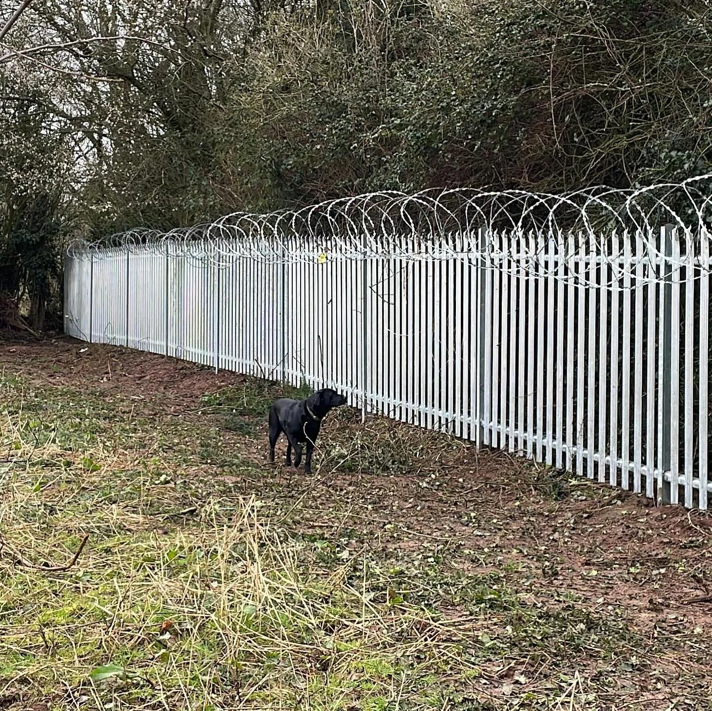 Daniel Squire Ltd | Quality Grounds Maintenance Services | Hereford