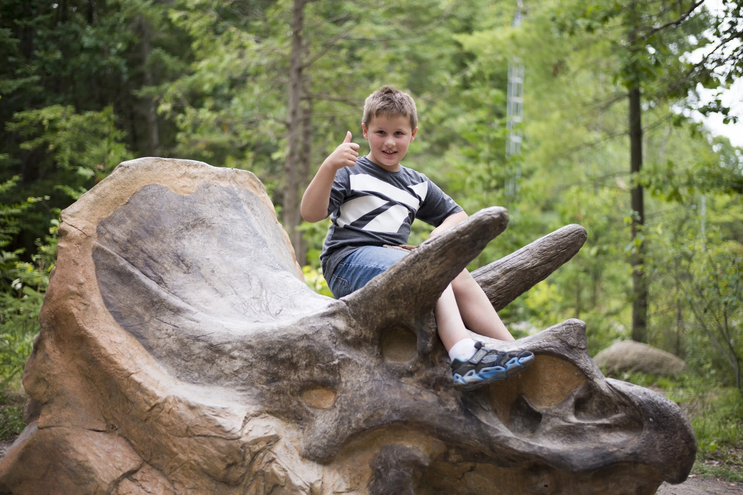 Dino Dig — Batawa ski hill