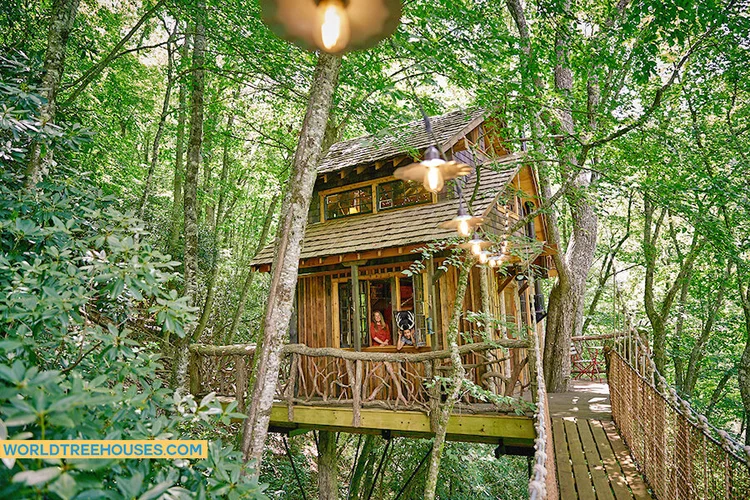 Treehouse fun on your land, your way! — World Treehouses: the Southeast ...