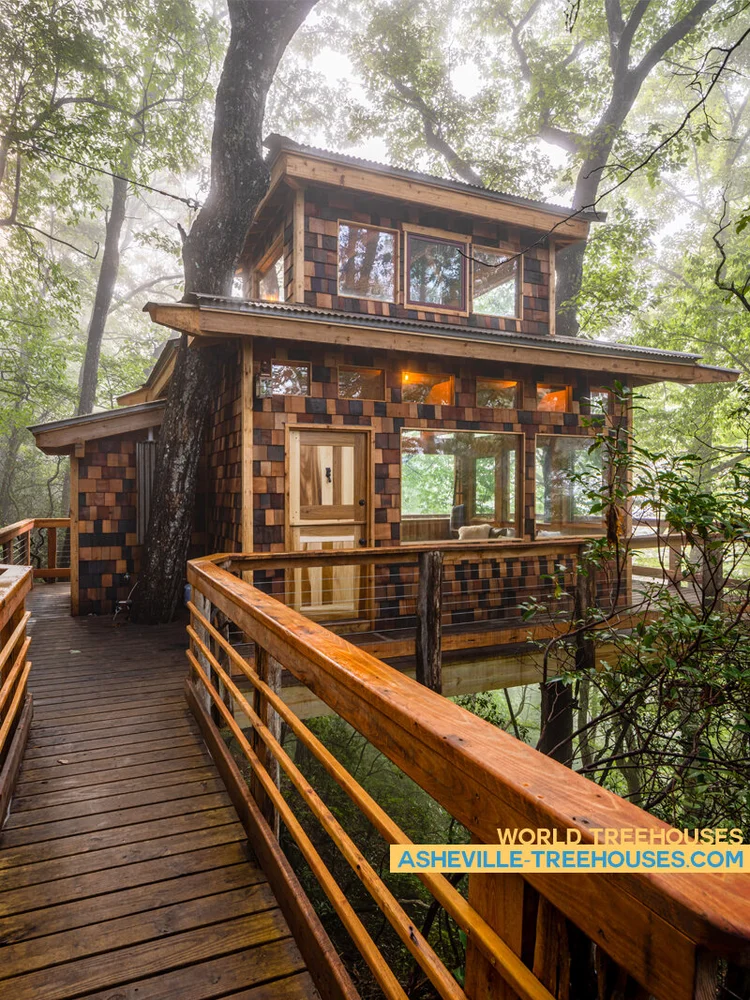 Asheville treehouse builder: Shinrin-Yoku treehouse: Spend time in the ...