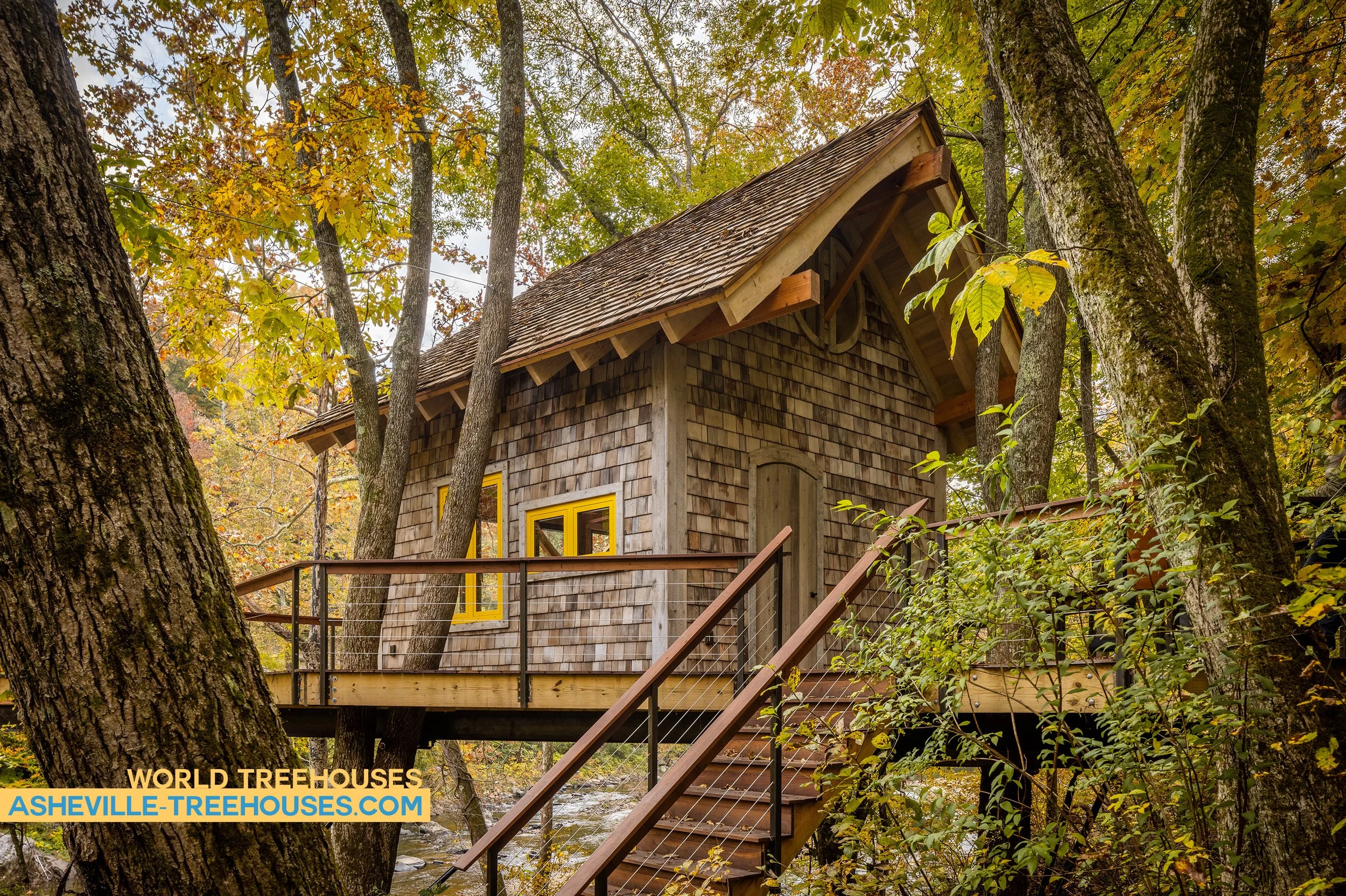 World Treehouses: the Southeast's Custom, Hand-crafted Treehouse Builders