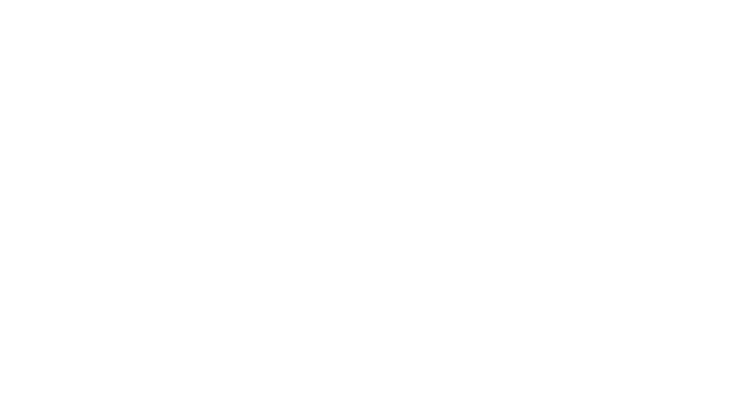 SKY JETTA
