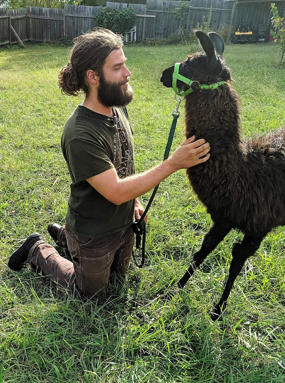 Llamas of Hot Springs | Animal-Assisted Therapy — Llamas of Hot Springs