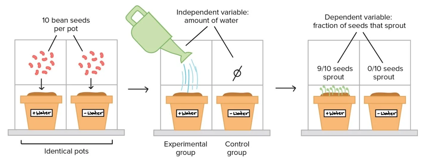 Controlled Experiment In A Scientific