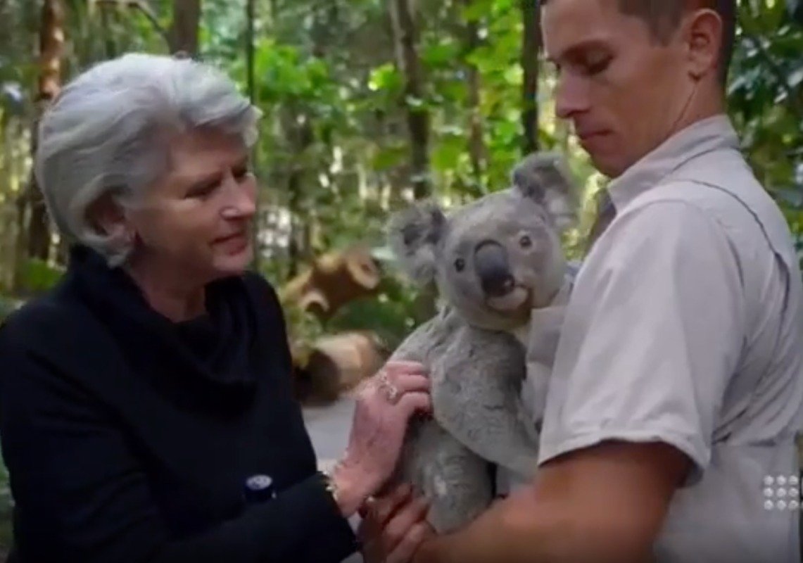 The wild story of survival behind Woombye zoo — The Sunshine Valley Gazette