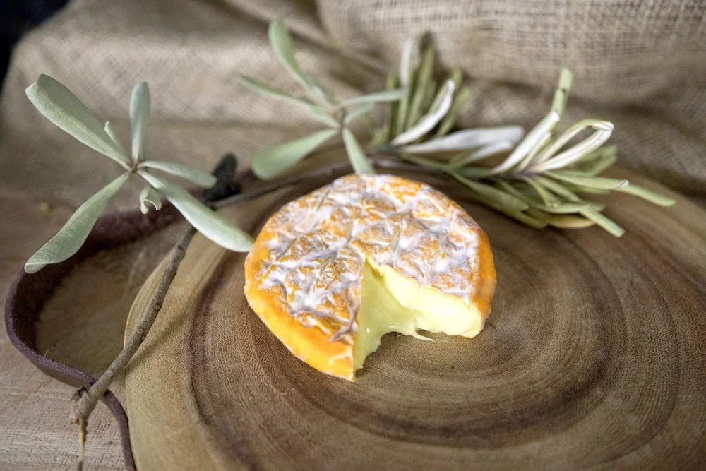 Woombye owner reveals secret ingredients behind Australia’s best Cheese ...