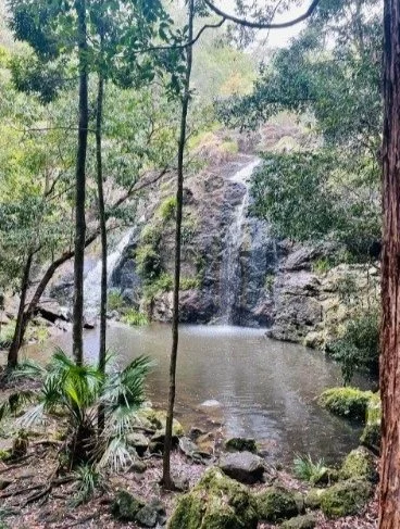 'Secret’ falls a short walk from local park — The Sunshine Valley Gazette