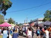 Yandina Street Fair returns for 44th year — The Sunshine Valley Gazette