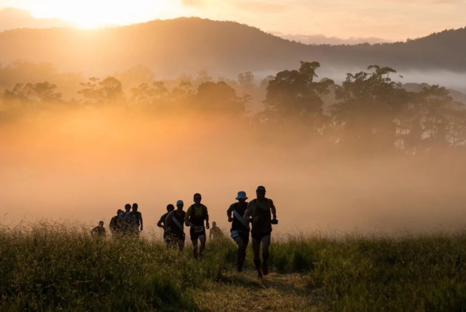 Yandina Five '0' Trail Run Set to Take Place on March 23 — The Sunshine ...