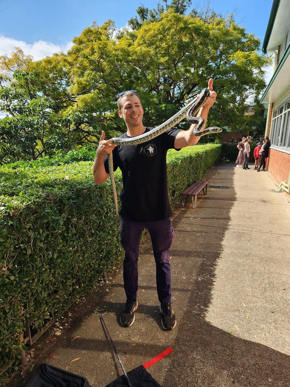 Python removed from Woombye State School classroom — The Sunshine ...