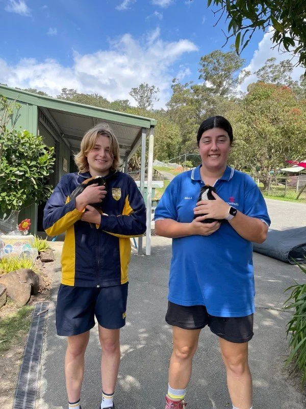 Students work alongside Compass trainees as part of curriculum — The ...