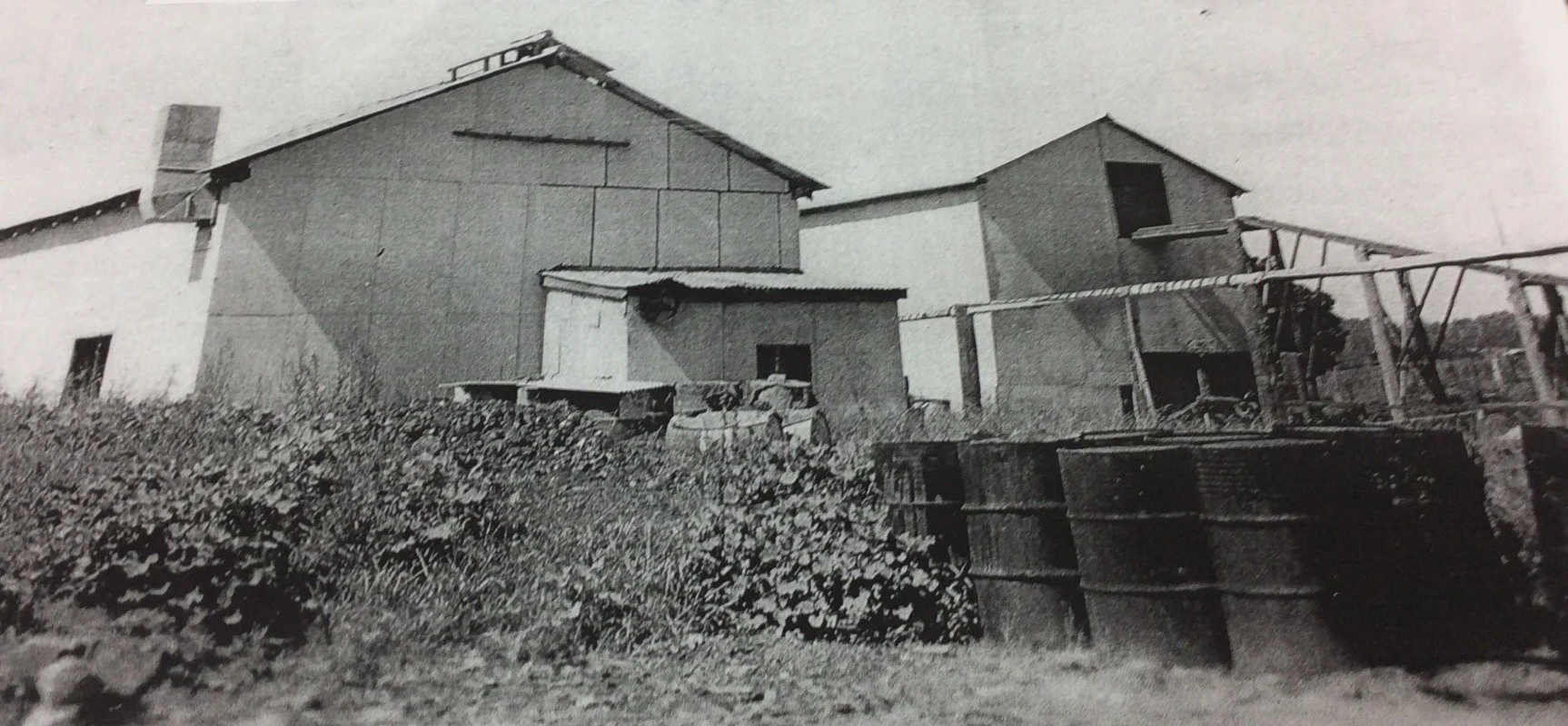 History: From sugar cane by-product to war-era wax polish — The ...