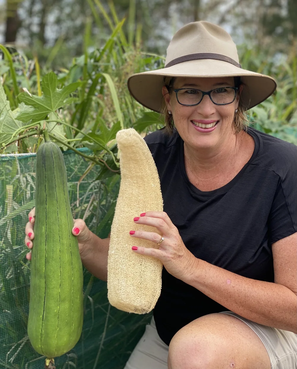 Grab your free seeds and grow your own loofahs — The Sunshine Valley ...