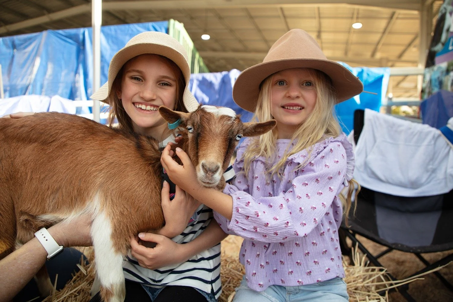 Fun, food and fireworks, monster trucks, V8s and mustering dogs: It’s ...