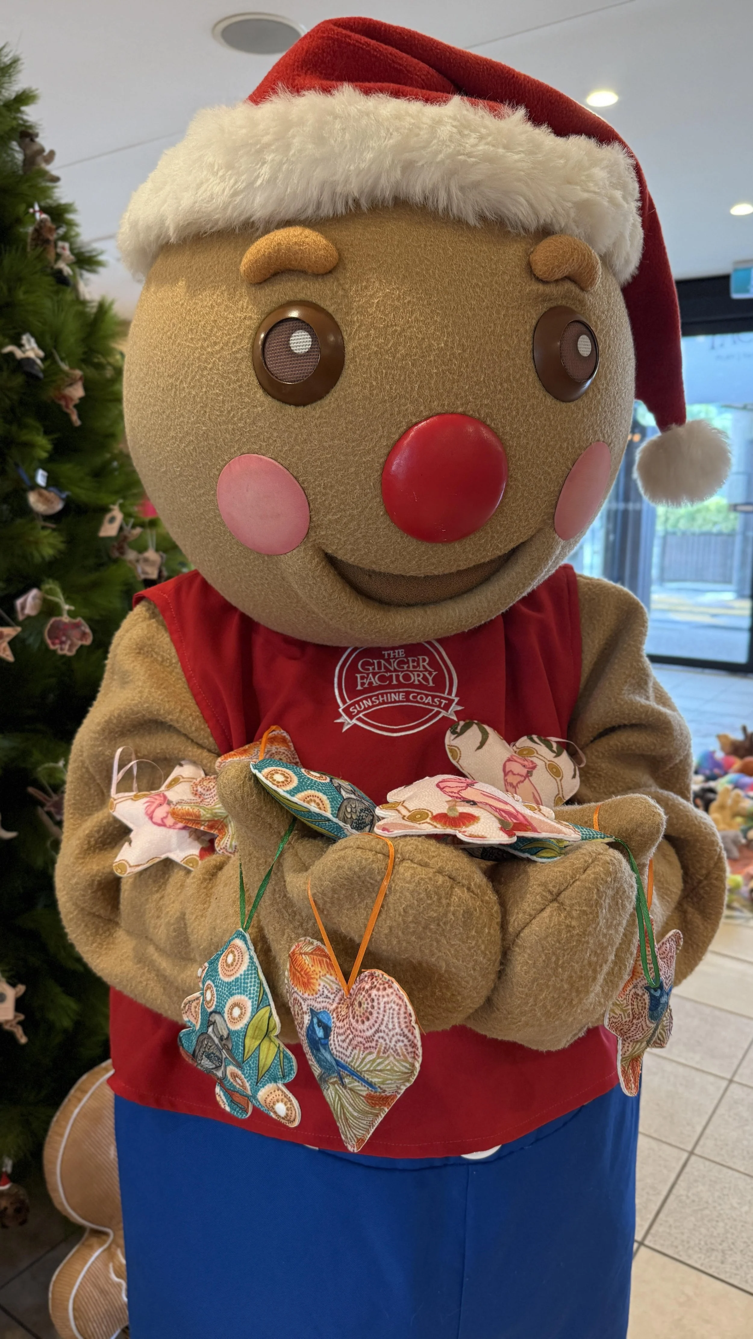 The Ginger Factory and SunnyKids join forces to spread Christmas Cheer ...