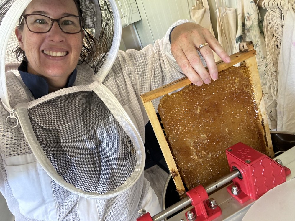 A beginner’s guide to beekeeping and honey harvesting — The Sunshine ...