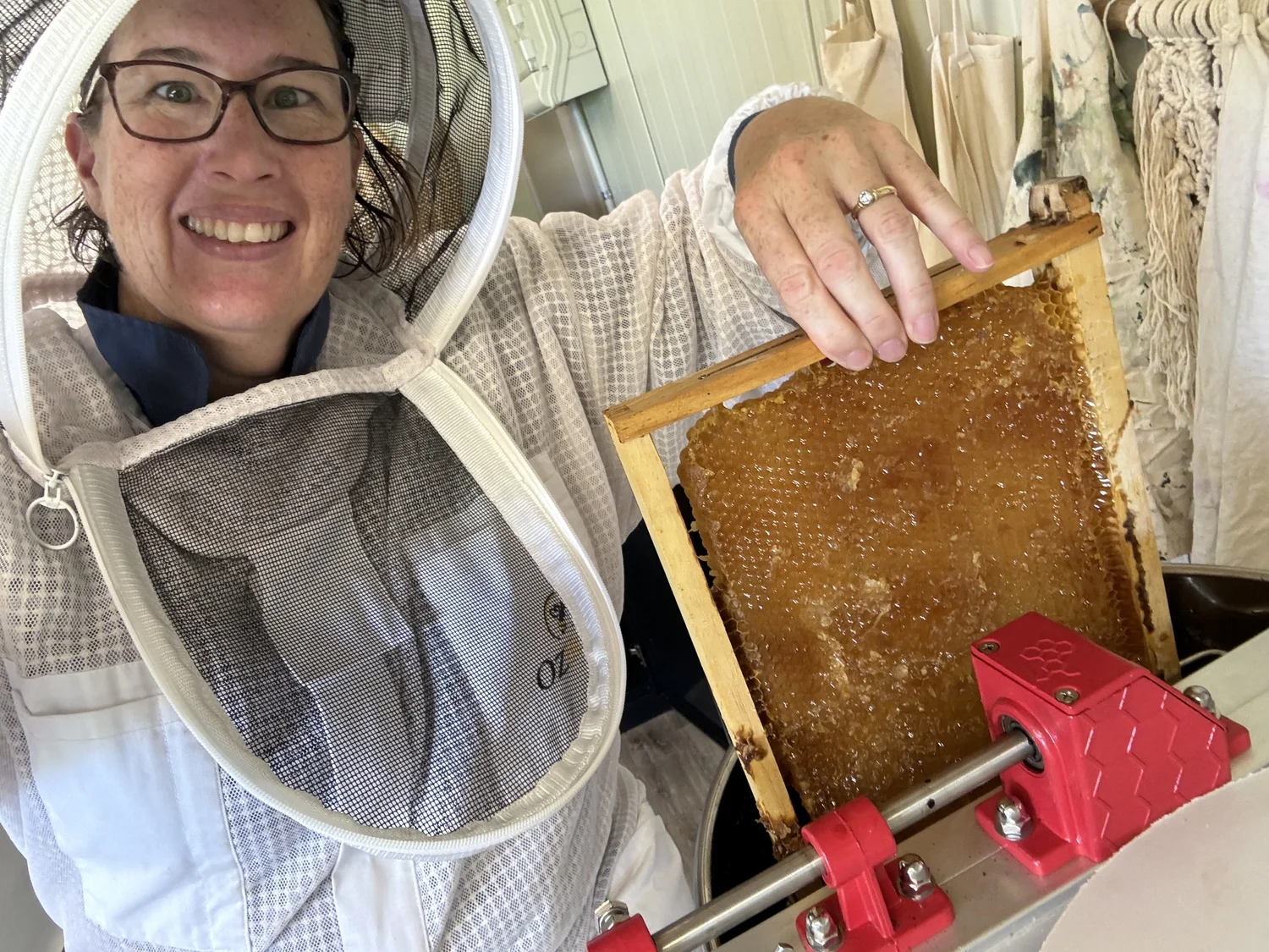 A beginner’s guide to beekeeping and honey harvesting — The Sunshine ...