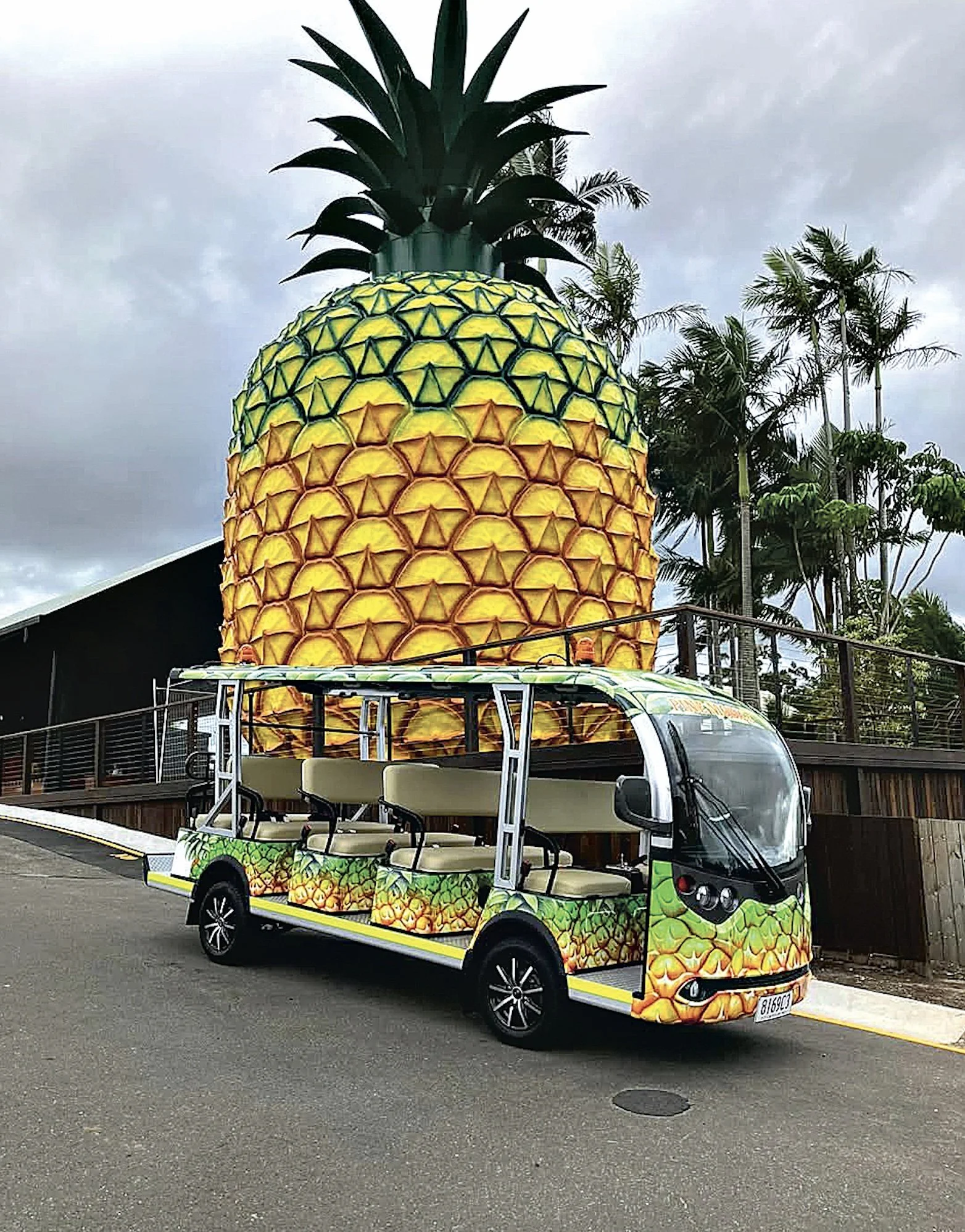 Big Pineapple introduces eco-friendly pine mobile — The Sunshine Valley ...